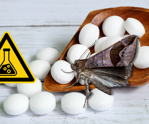 mothball ingredients