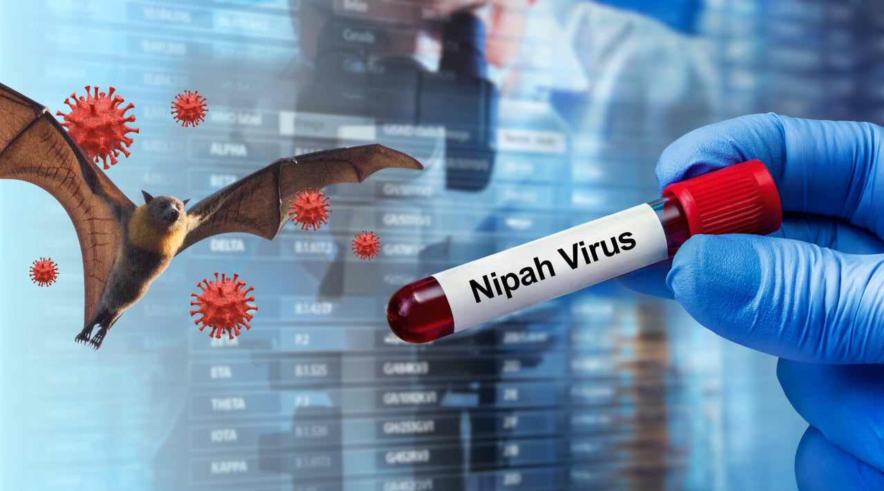 What Is the Nipah Virus? Key Facts to Know about the Current Outbreak ...