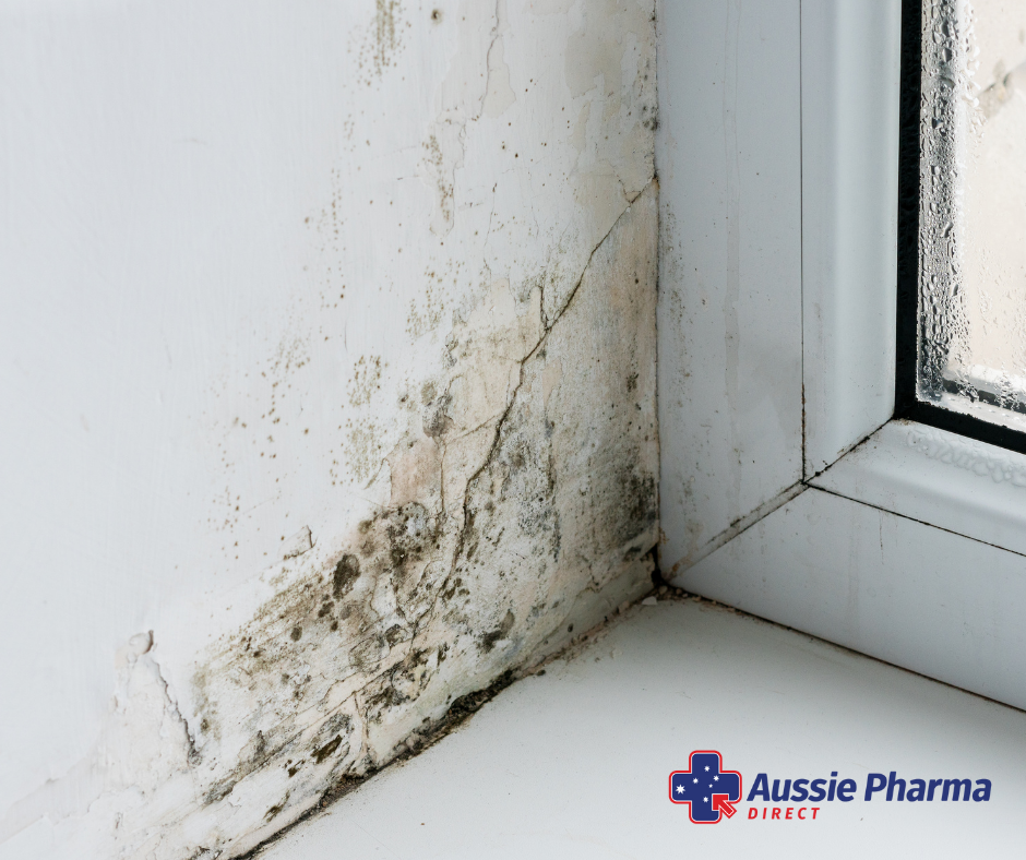 Tips on How to Protect Your Home from Mould – Aussie Pharma Direct