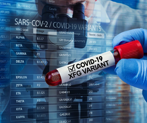 New COVID Variant XFG: What Makes Stratus Different, and What to Expec ...