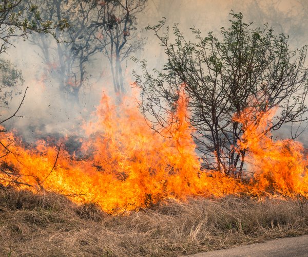 Seasonal Bushfire Outlook & Your Ultimate Bushfire Protection Tips ...