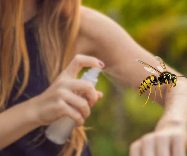 What Repels Wasps? Natural and Practical Ways to Keep Them Away ...